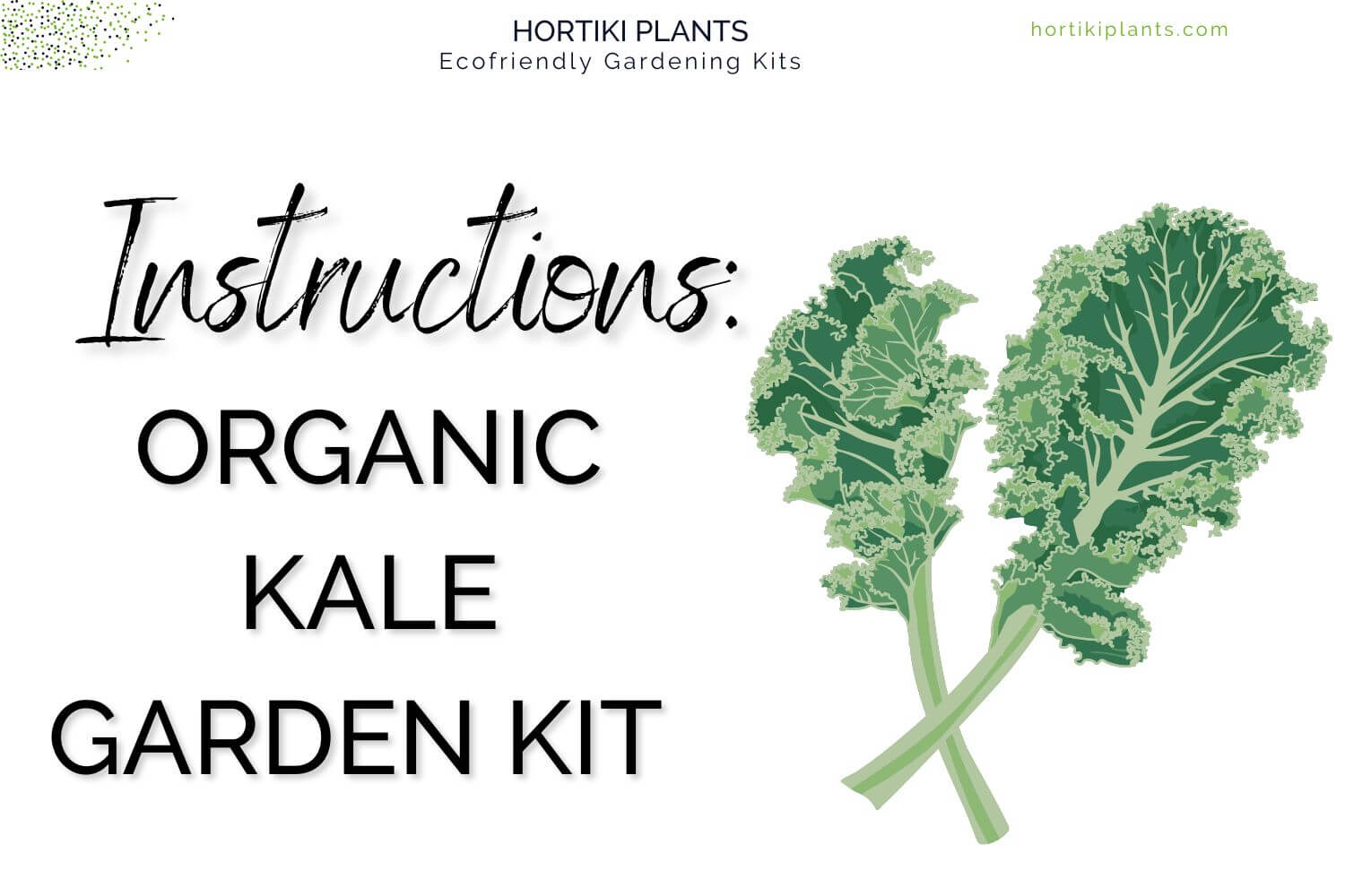 Organic Kale Garden Kit Instructions – Hortiki Plants